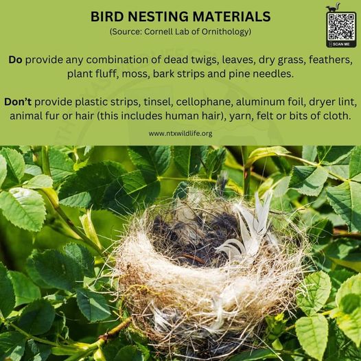 Bird Nesting Materials – Ingersoll District Nature Club